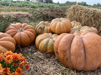 Cal Trilla 1902 - Horts >huerto en Barcelona | LMEB